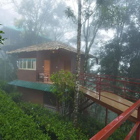 5⋆ BLANKET HOTEL & SPA • Munnar, India